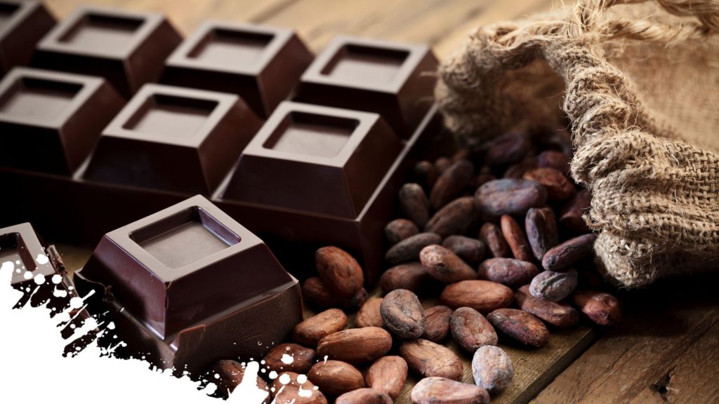Where Did Chocolate Come From? – Amazing Mexico | Blog